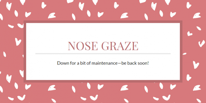 Create Your Own Custom Maintenance Screen for WordPress • Nose Graze