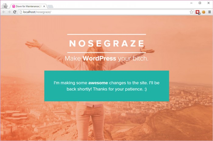 Create Your Own Custom Maintenance Screen for WordPress • Nose Graze