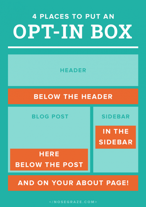 I Challenge You to Build Your Email List • Nose Graze