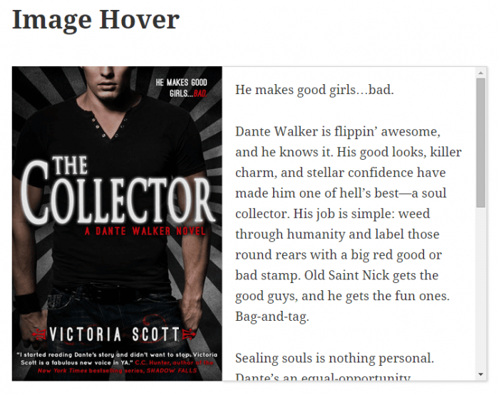 Create an Image Hover Effect with Text in WordPress • Nose Graze