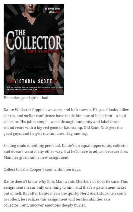 Create an Image Hover Effect with Text in WordPress • Nose Graze