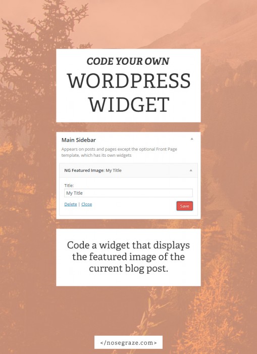 How to Code Your Own WordPress Widget • Nose Graze