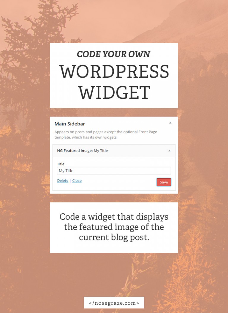 How to Code Your Own WordPress Widget • Nose Graze